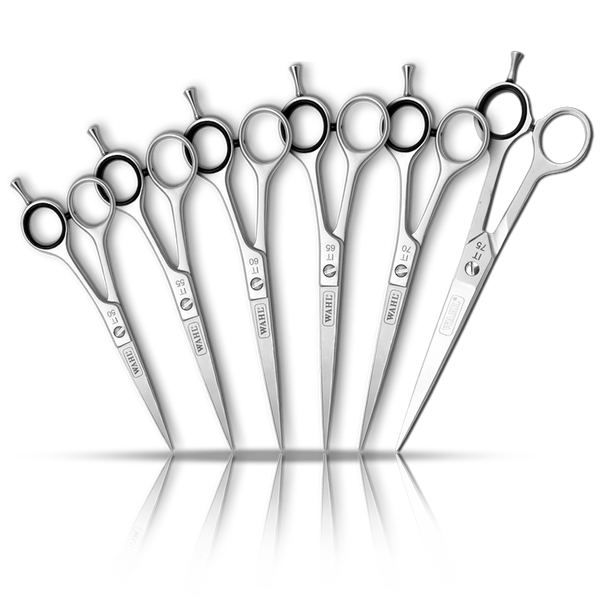 Wahl Italian Series Scissor 6.5 – WA Hair Suppliers
