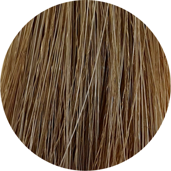 Wella CT (Plus) 88/03-Intense Light Natural Gold Blonde – WA Hair Suppliers